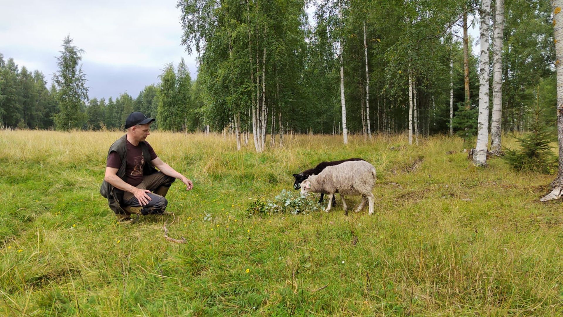Blogi: Miten luonnosta huolehditaan maatilalla? Viisi viljelijää Etelä ...